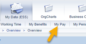 Online W-2s are now available