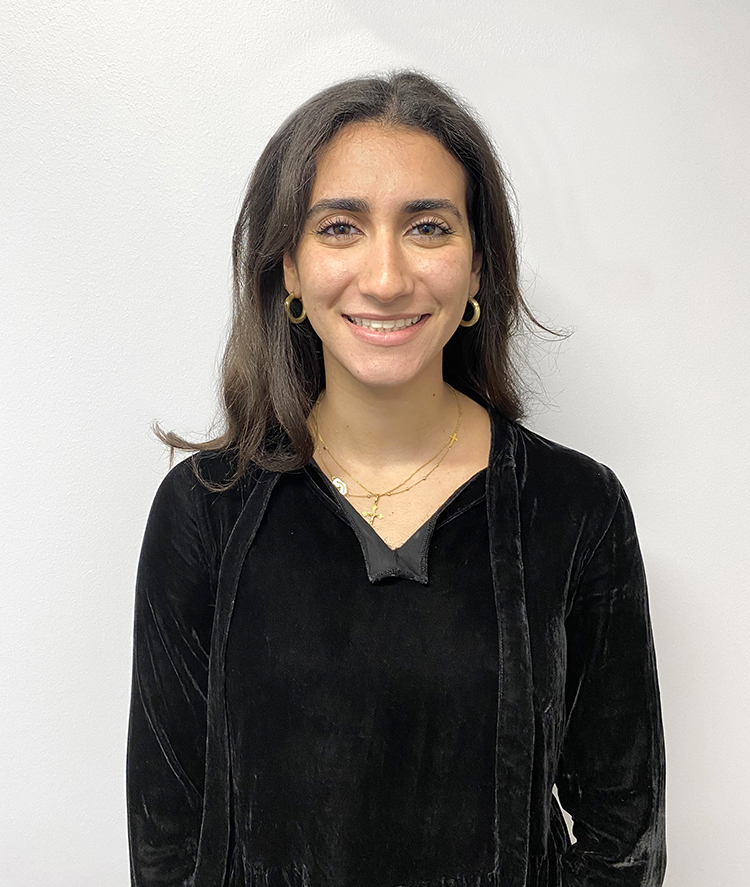 Celebrating the DES Interns